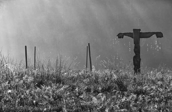 Crying Scarecrow, 2008 © Wojtek Wojdynski